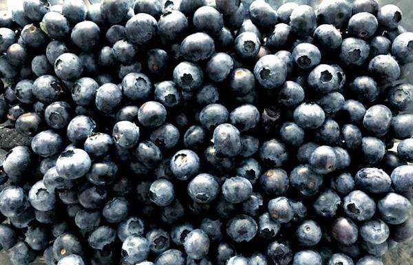 Cupcakes With Smashed Blueberries | Recipe | Cuisine Fiend