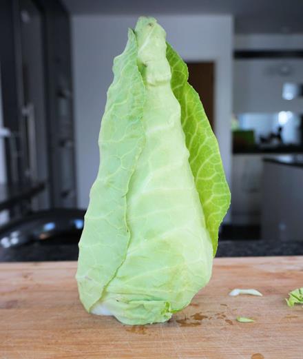 Spring Cabbage Salad | Recipe | Cuisine Fiend