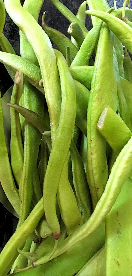 Garlicky Runner Beans | Recipe | Cuisine Fiend