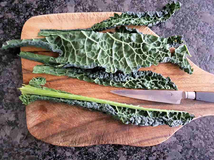 Kale Crisps | Recipe | Cuisine Fiend