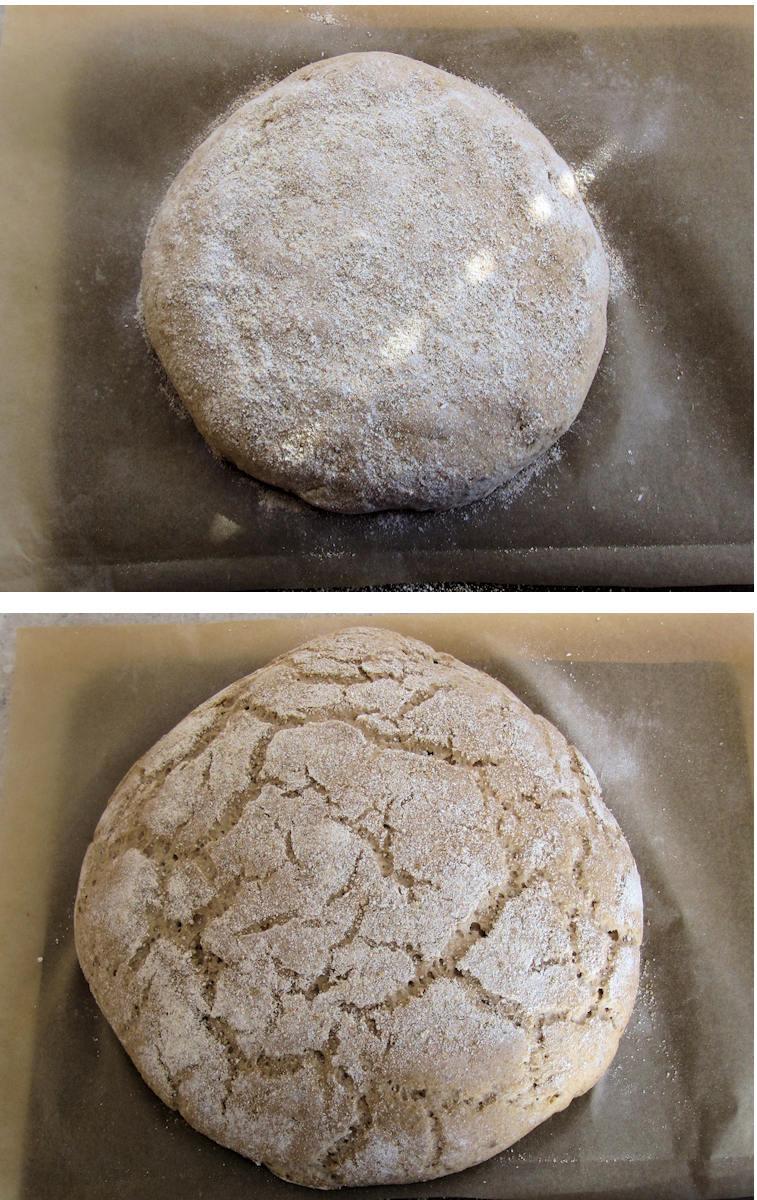 Malt Vinegar Rye Bread | Recipe | Cuisine Fiend