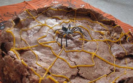 Morticia's Chocolate Cake | Recipe | Cuisine Fiend