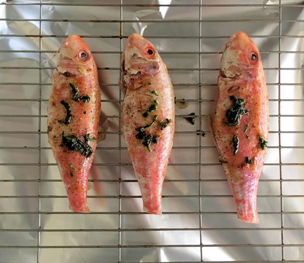 Grilled Red Mullet | Recipe | Cuisine Fiend
