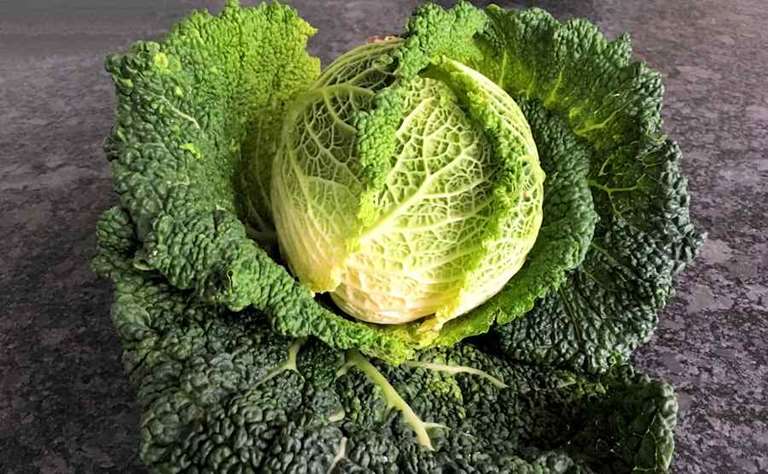 Roasted Savoy Cabbage | Recipe | Cuisine Fiend