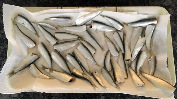 Sprats | Recipe | Cuisine Fiend