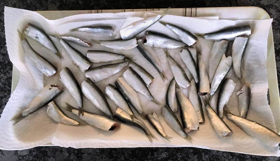 Sprats | Recipe | Cuisine Fiend