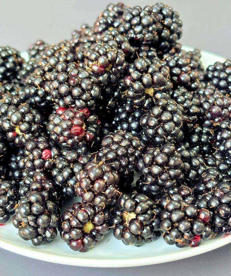 Bramble Crumble | Recipe | Cuisine Fiend