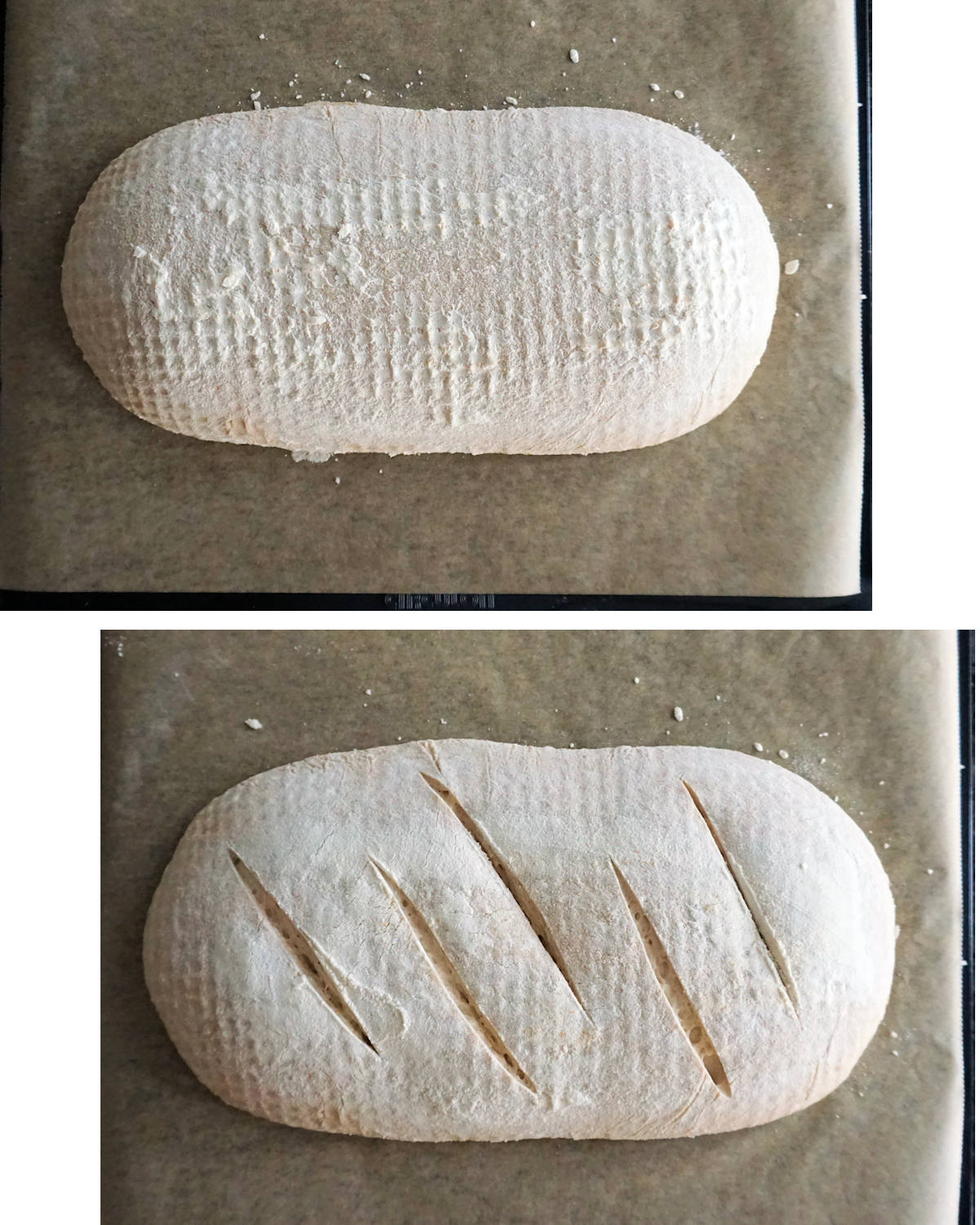 Buckwheat Sourdough Bloomer | Recipe | Cuisine Fiend