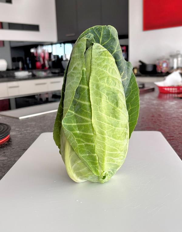 Buttered Cabbage | Recipe | Cuisine Fiend