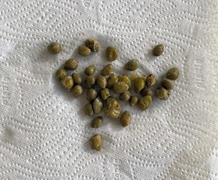 Cheesy Turkey Patties | Recipe | Cuisine Fiend