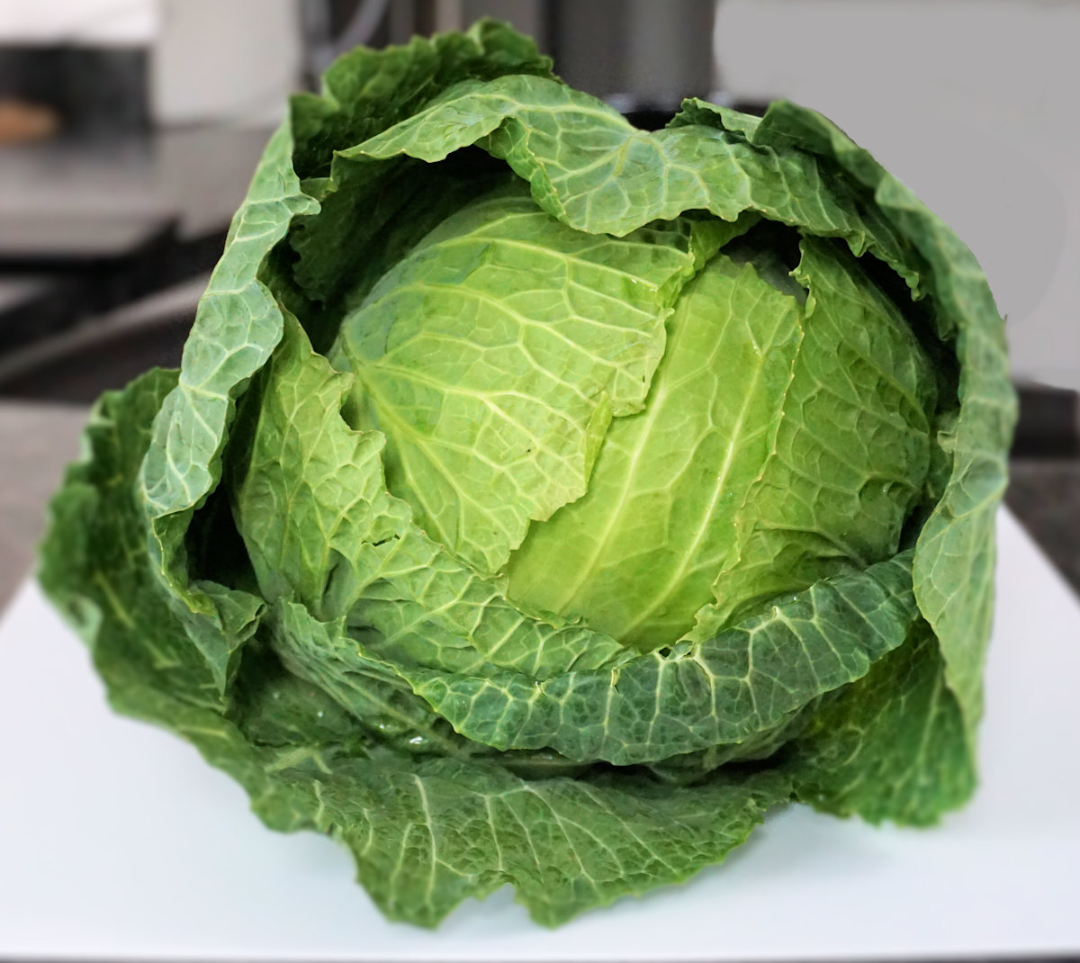 Top 10 Cabbage Recipes | Cuisine Fiend