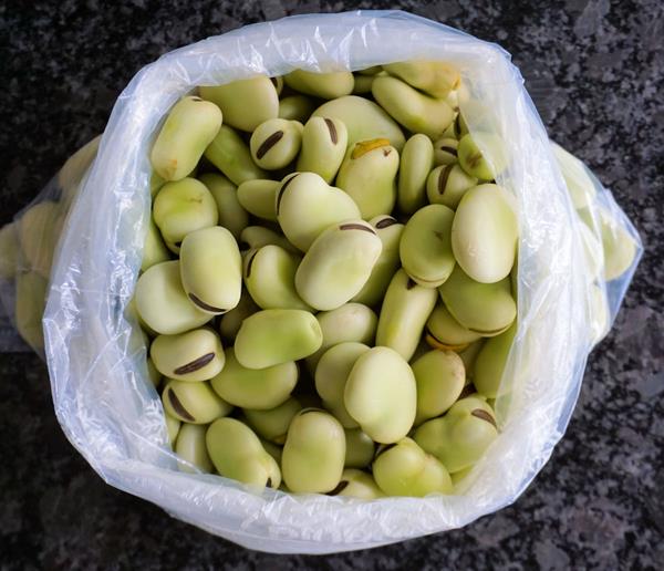 Crushed Broad Beans | Recipe | Cuisine Fiend