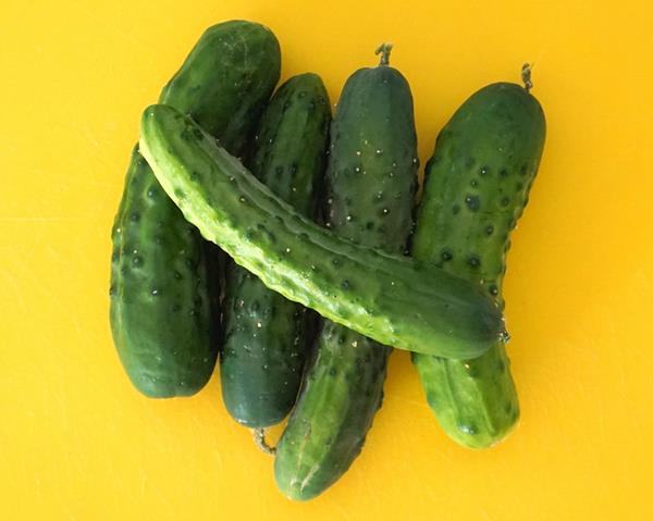 Cucumbers With Feta And Honey | Recipe | Cuisine Fiend