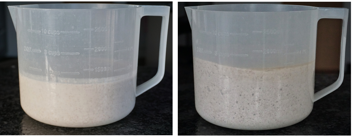 Fermented Buckwheat Bread | Recipe | Cuisine Fiend