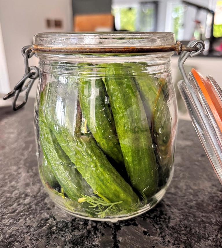 Crunchy Fermented Cucumbers | Recipe | Cuisine Fiend