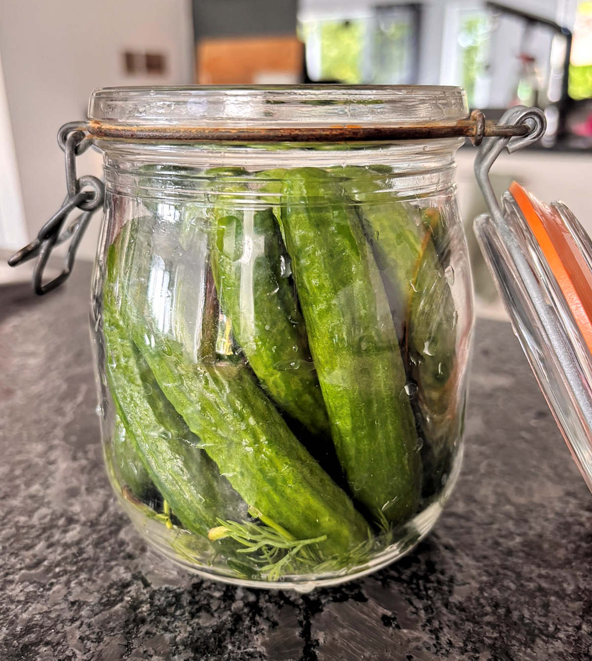 Crunchy Fermented Cucumbers | Recipe | Cuisine Fiend