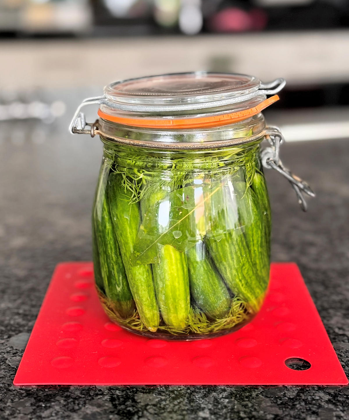 Crunchy Fermented Cucumbers | Recipe | Cuisine Fiend