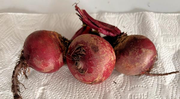 Hot Buttered Beetroot | Recipe | Cuisine Fiend