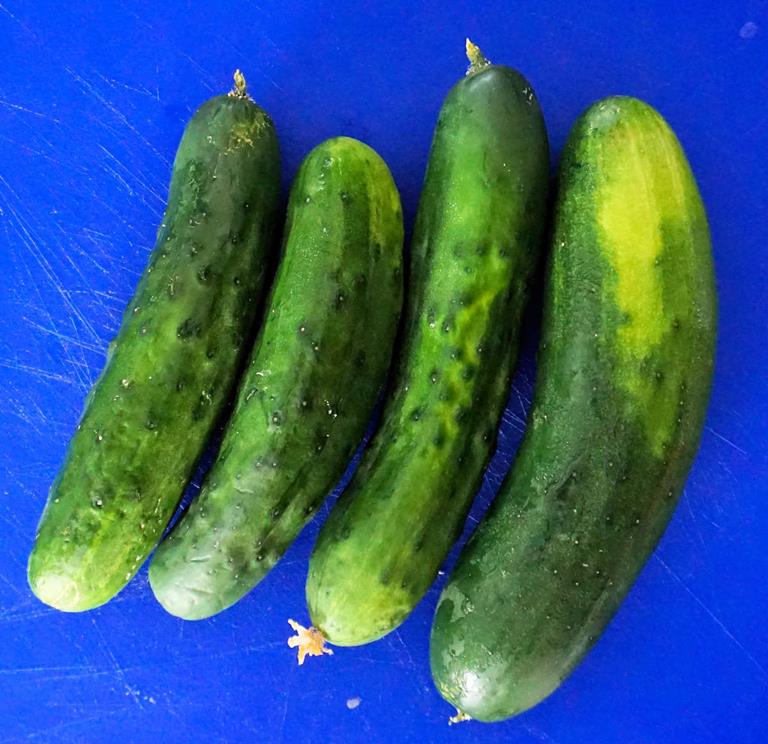 Stir Fried Cucumbers | Recipe | Cuisine Fiend